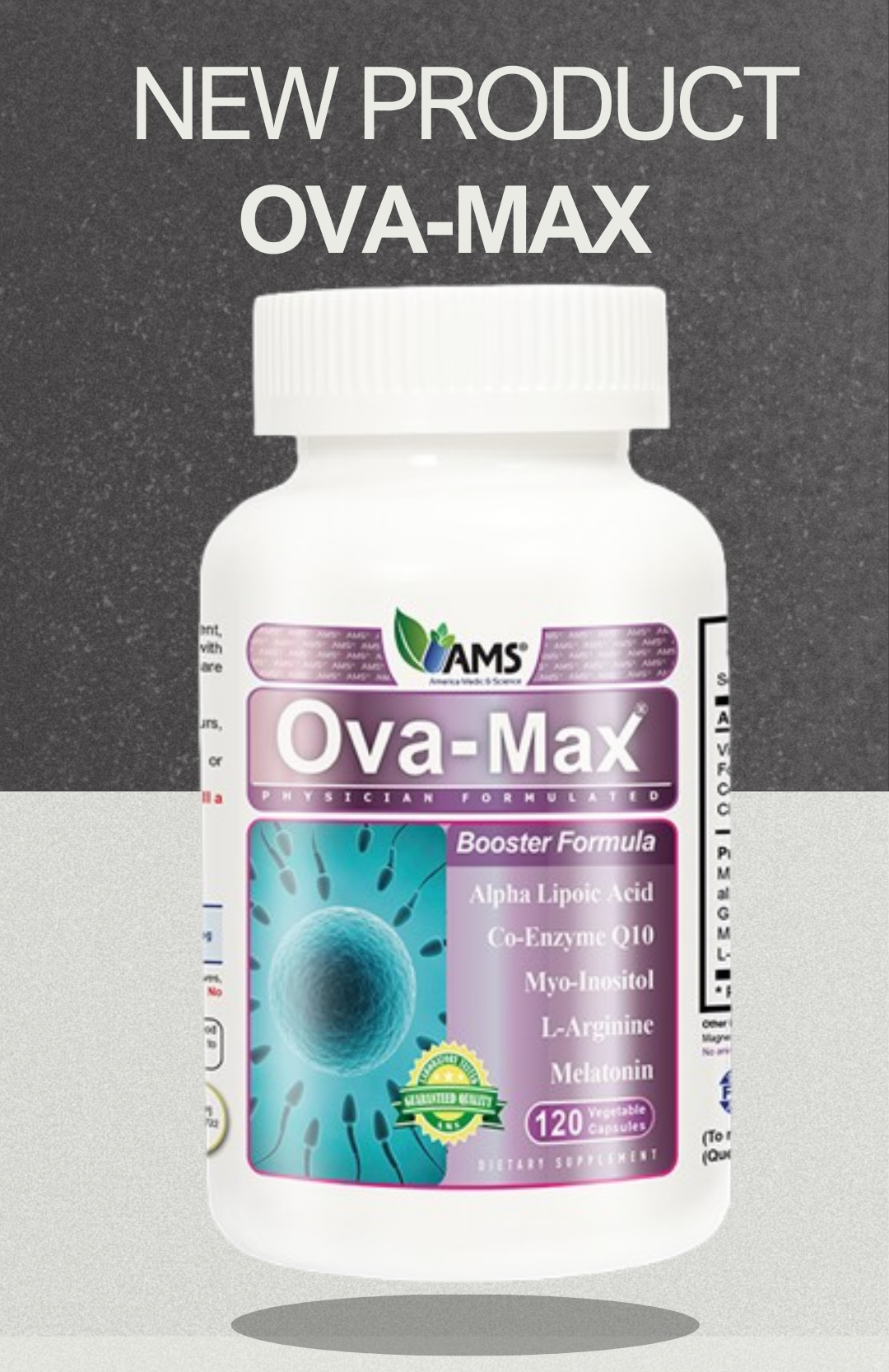 OVA - MAX 120 CAP AMS – HAMZA PURE